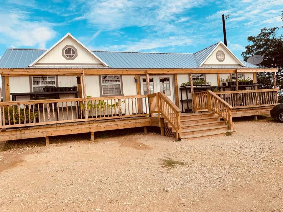 Tomato Companion Planting